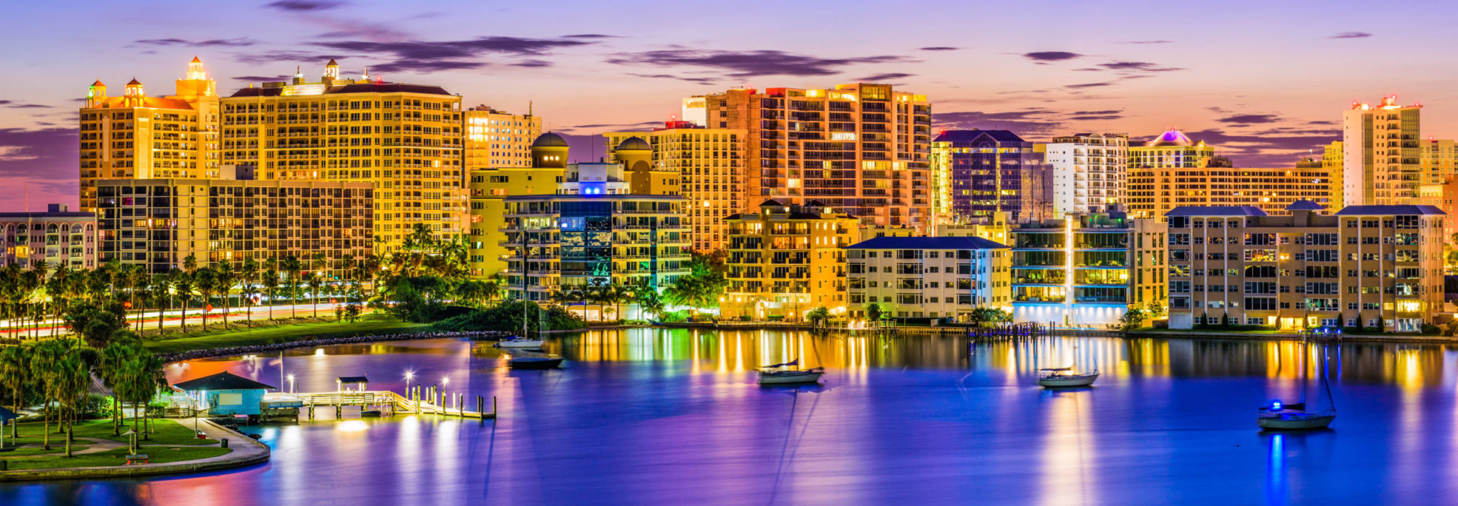 About CSFi – CSF International (CSFi)