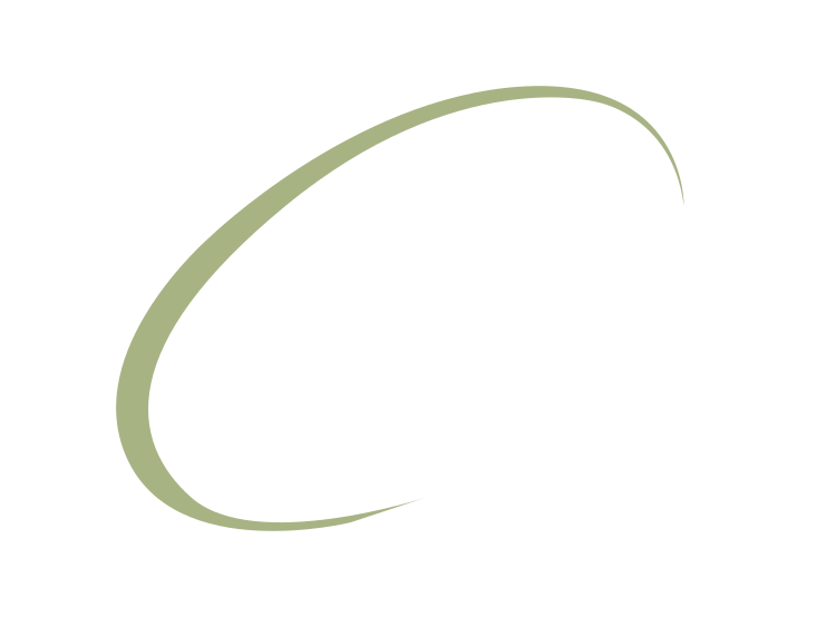 Web support – CSF International (CSFi)